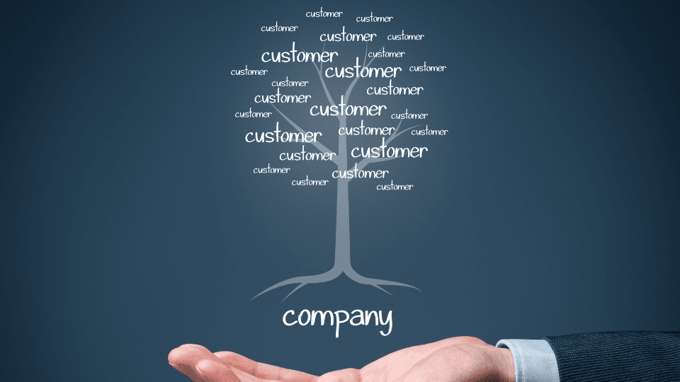Why a Professional Company Profile Design is Crucial for Your Business ...